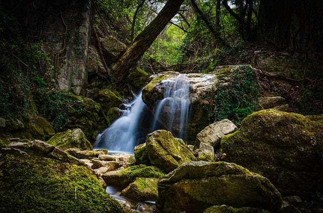 Whispering Waters and Hidden Grottos: Discovering Florida's Secret ...