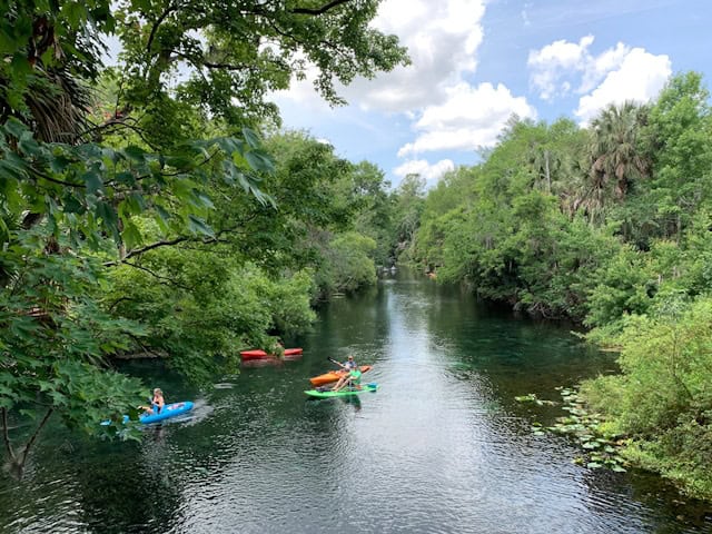 Silver Springs State Park: Glass Boats and Jungle Legends