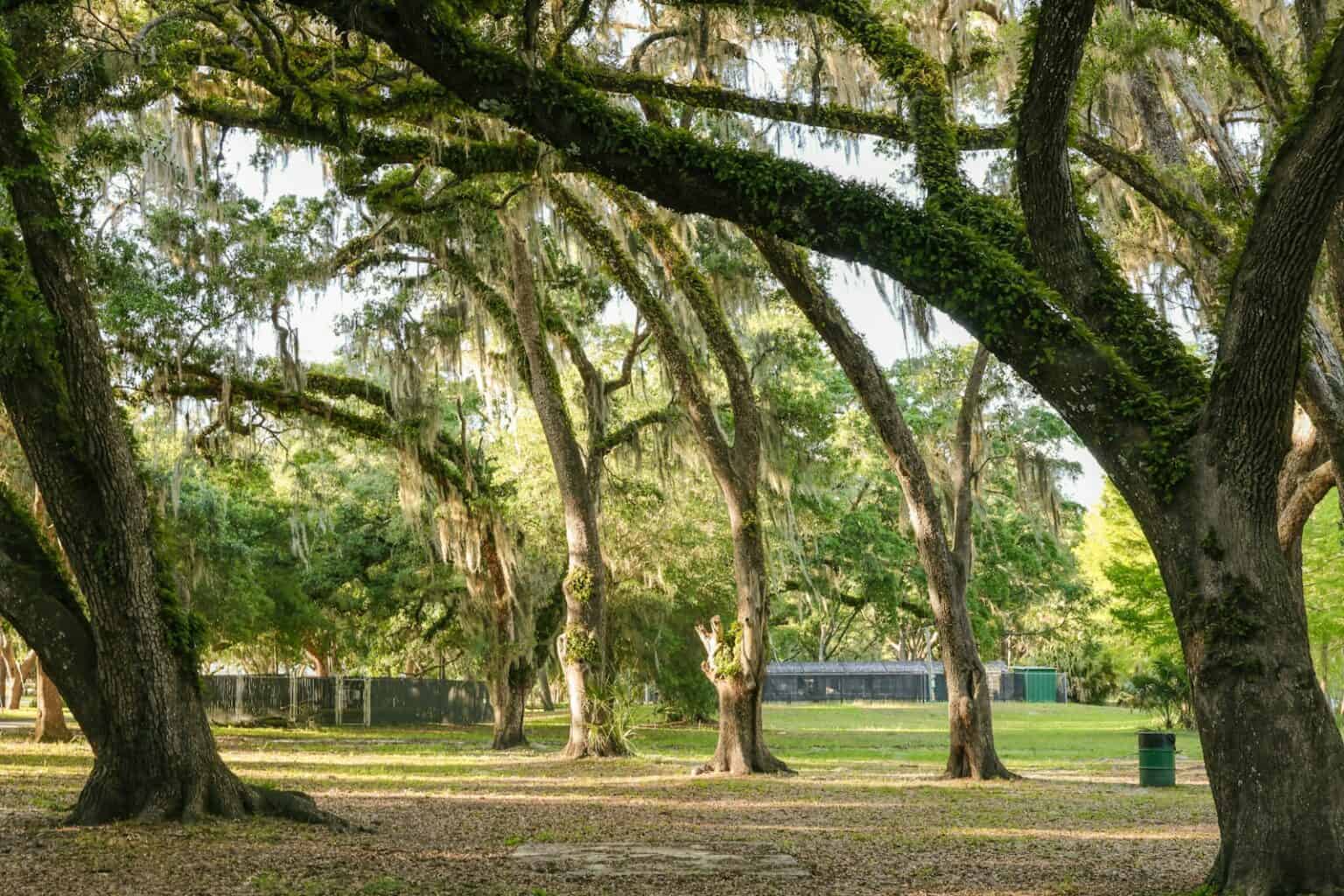 Plantation, Florida: Parks, Trails, and Local Calm Near Fort Lauderdale