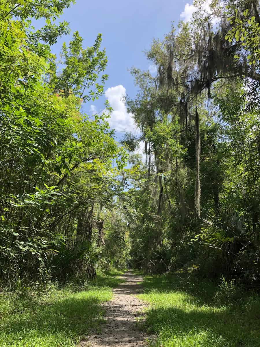 San Felasco Hammock Preserve State Park | Hiking, Biking & History in ...