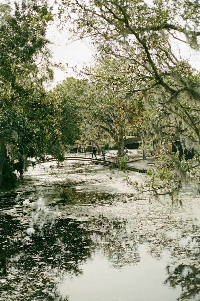 Ravine Gardens State Park Florida Travel Guide