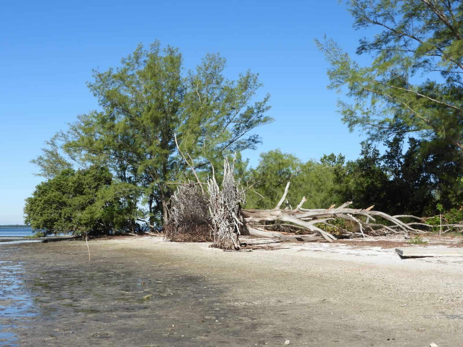 Big Talbot Island State Park and the Shoreline That Refuses to Settle